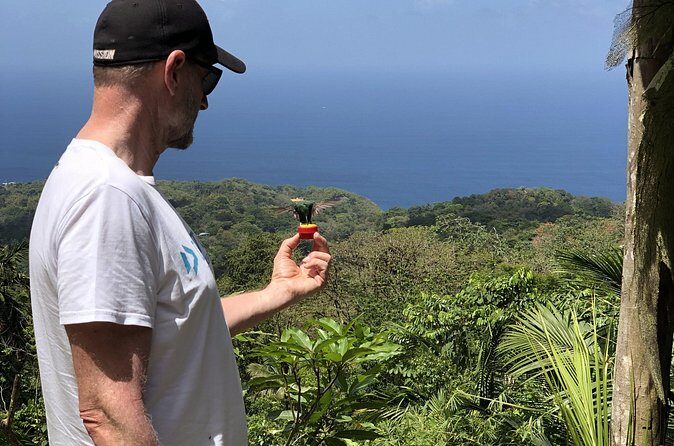 3 Hours Rainforest Walk in Tobago (Private) Lunch + Hummingbirds - FAQ