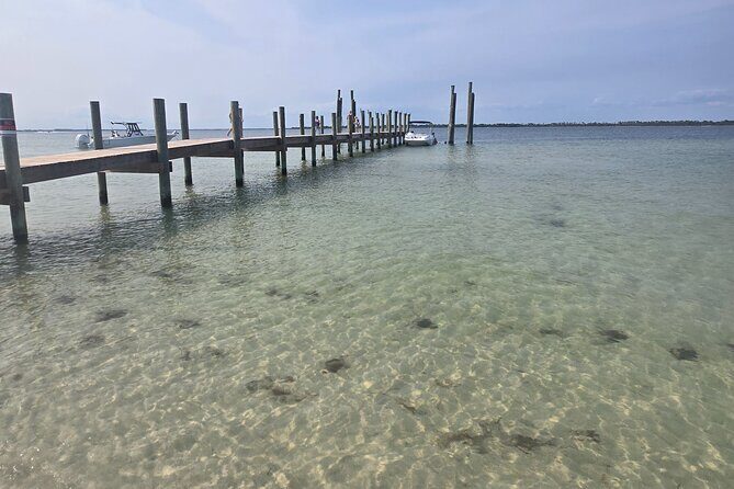 3 Hours Shell Island Experience - Final Thoughts