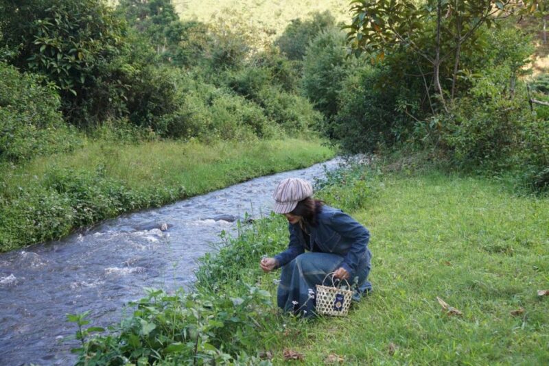 3-Hours Trekking Tour to Hidden Waterfall and Sturgeon Farm - Authenticity and Traveler Feedback