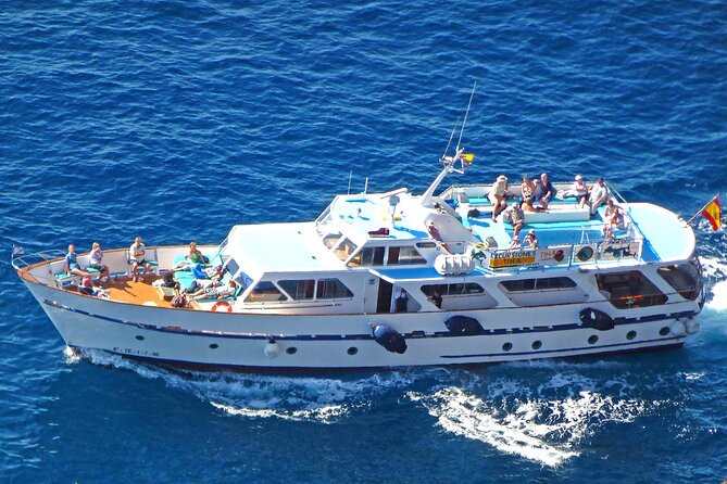 3 hrs Boat Excursion for whale watching from Valle GR (La Gomera) - Key Points