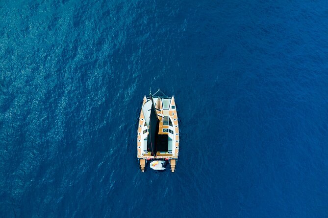 3 Hrs. Whale Watching and Relaxing Chill Out Catamaran With Glass Floor - Wildlife and Scenery