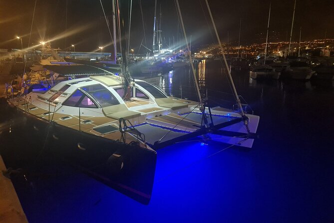 3 Hrs. Whale Watching and Relaxing Chill Out Catamaran With Glass Floor - Reviews