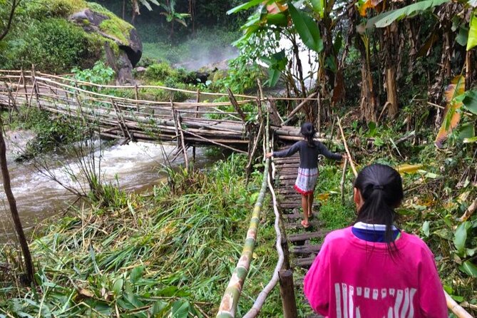 3-in-1: Doi Inthanon Tour, Elephant Sanctuary, and Trekking Trail - Who Should Consider This Tour?