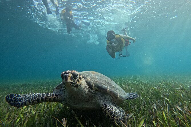 3 in 1 Jungle Tour Adventure Cancun - What the Tour Entails