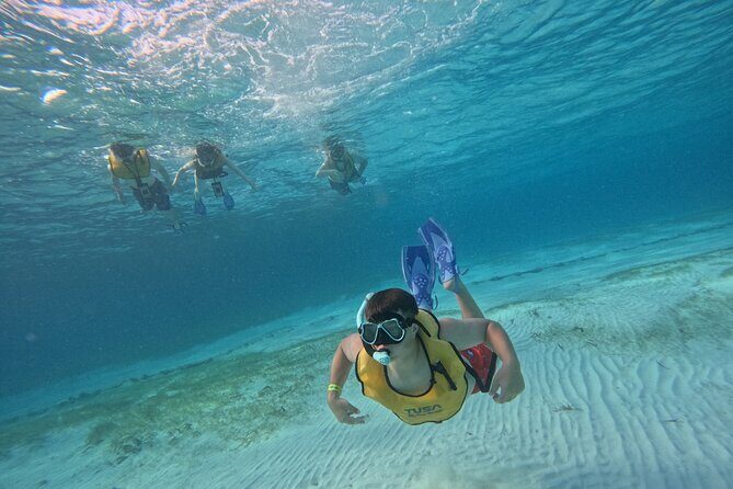 3 in 1 Jungle Tour Adventure Cancun - Who Would Love This Tour?