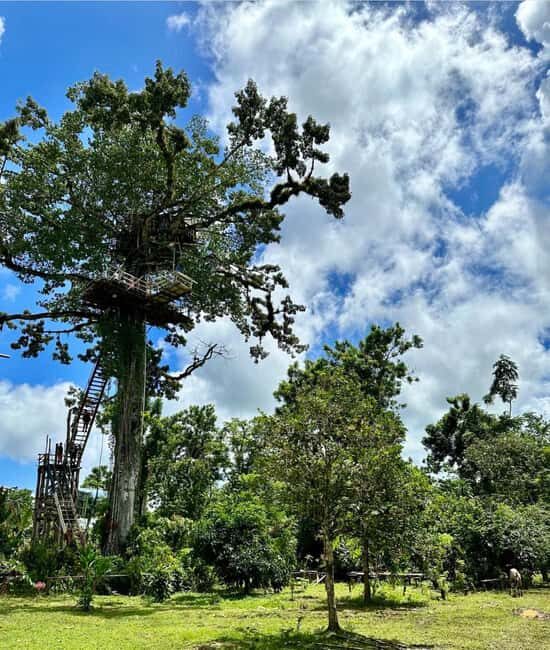 3-in-1: Los Haitises w/ Montaña Redonda & Yanigua Waterfalls - Authentic Experiences & Real Traveler Insights