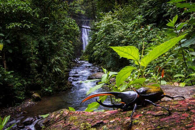 3-in-1 Monteverde Cloud Forest Waterfalls, Wild Trekking and Horseback Riding - Participant Information