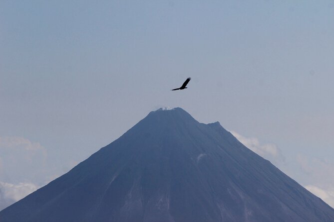 3-in-1 Monteverde Cloud Forest Waterfalls, Wild Trekking and Horseback Riding - Horseback Riding Experience