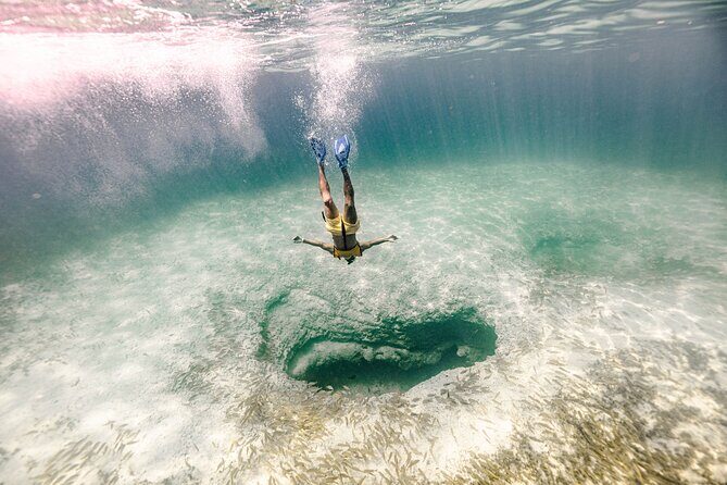 3 in 1 Snorkeling, Parasailing, with Turtle - The Authentic Experience and What Travelers Say