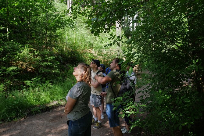 3 in 1 Tour Brewery & Castle in Bohemian Paradise Unesco Geopark - Pickup and Timing Details