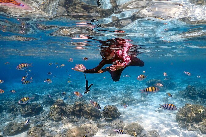 3-Island Speedboat Tour: Racha Noi, Racha Yai & Maiton - Authentic Reviews: What Travelers Say