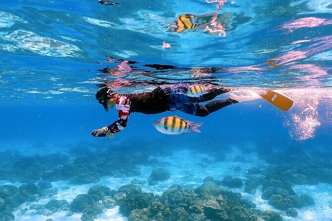 3-Island Speedboat Tour: Racha Noi, Racha Yai & Maiton - The Sum Up: Who Should Consider This Tour?