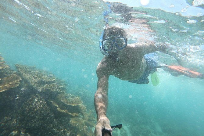 3 Islands Snorkel on boat, Isla Blanca, Contoy, Mujeres - Analyzing the Value