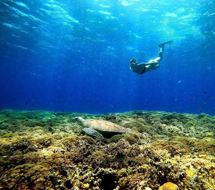 3 islands snorkeling & turtle sanctuary Gopro included - The Sum Up