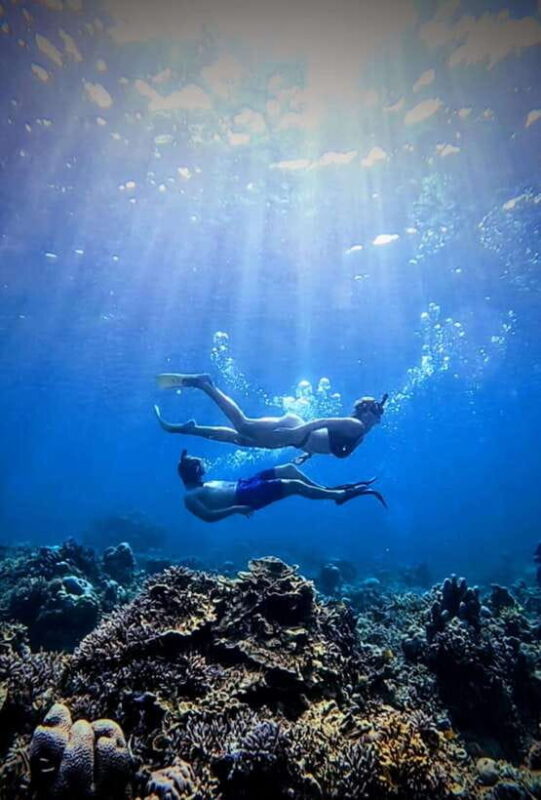 3 islands snorkeling & turtle sanctuary Gopro included - FAQ