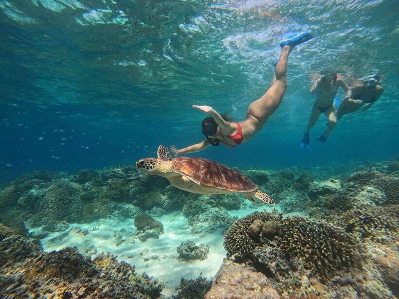 3 Islands Snorkeling with Glass Bottom Boat & GOPRO SHOOT - FAQs