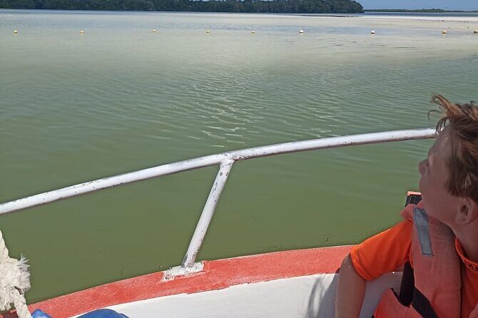 3 Islands tour Holbox. (yalahau, and more) - Practical Details to Help You Decide