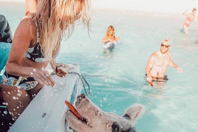 3 Islands Tour, Swim with Pigs, Turtles, Snorkelling & lunch - FAQ