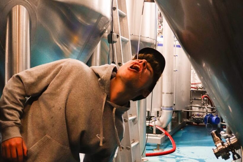 3 Locks Brewing Company: Guided tasting and brewery tour - Who Will Love This Tour?
