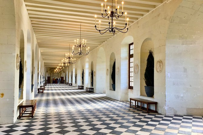 3 Loire Castles Live Guided Small Group Trip by Minivan Winery - A Taste of Loire Valley Wines