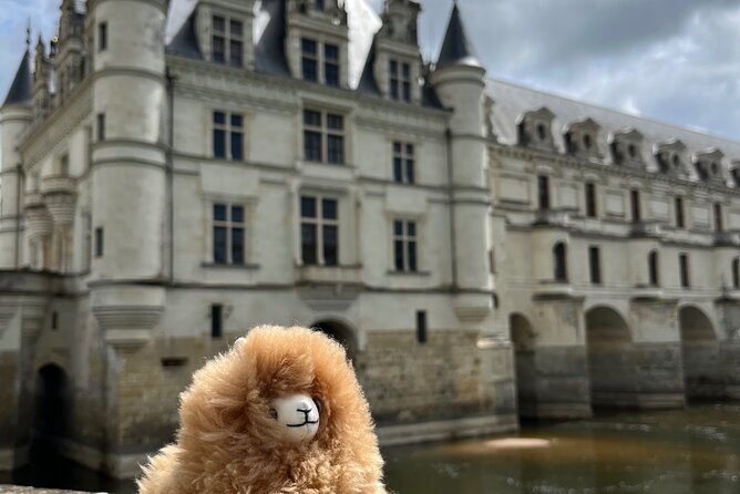 3 Loire Valley Castles and Wine Tasting Private Guided Tour - Inclusions and Accessibility