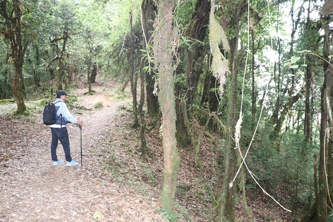 3 Night 4 Days Mardi Himal - Practical Considerations