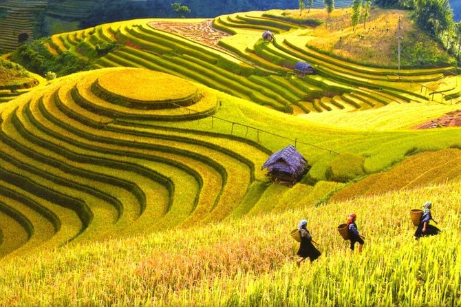 3-Night Sapa Trek and Homestay with Round Trip Transfer from Hanoi - The Practical Side: What You Need to Know