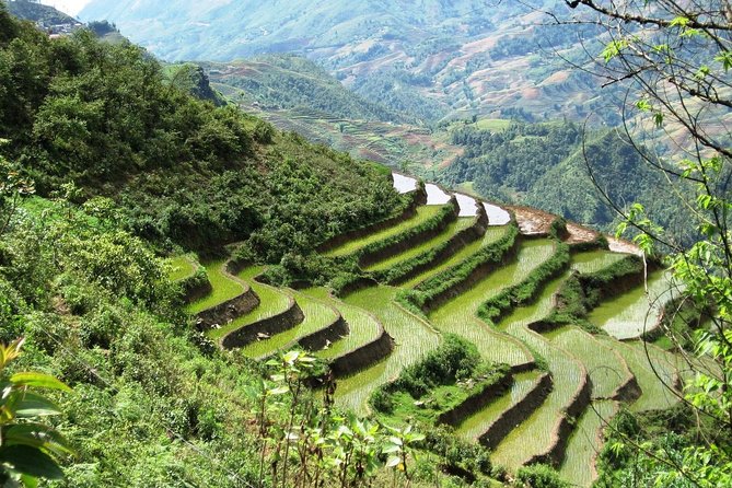 3-Night Sapa Trekking Tour from Hanoi - Day 2: First Trek and Village Encounters