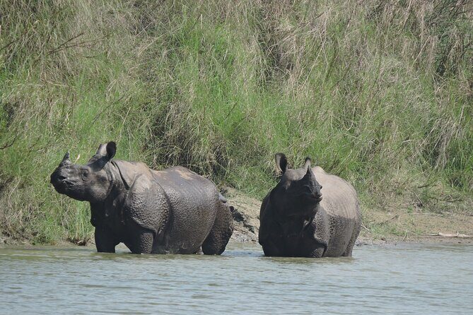 3 Nights 4 Days Bardia Tiger Tracking Tour | Bardia Jungle Safari - Key Points: What Makes This Tour Stand Out