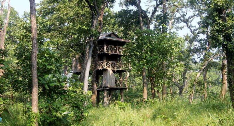 3 Nights 4 Days: Chitwan National Park with Tower Night Stay - Key Points