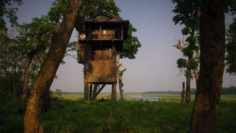 3 Nights 4 Days: Chitwan National Park with Tower Night Stay - Day 2: Jungle Activities and Night in the Tower