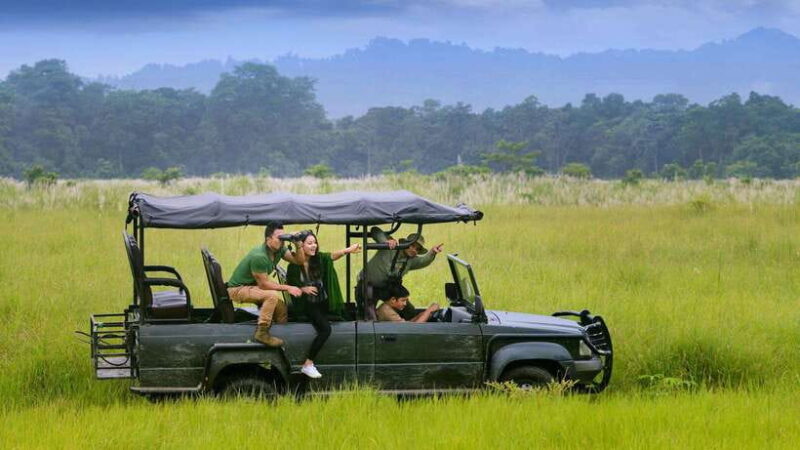 3 Nights 4 Days: Chitwan National Park with Tower Night Stay - Day 3: Full Day of Park Exploration