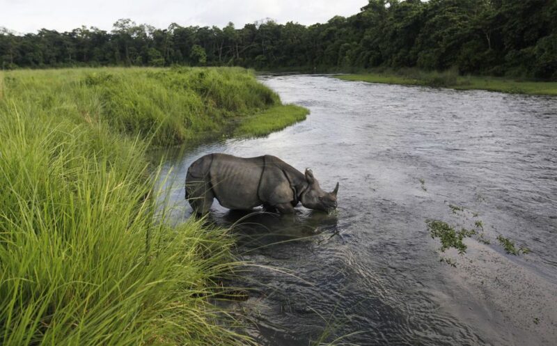 3 Nights 4 Days Chitwan National Park with Tower Night Stay - Practical Travel Tips