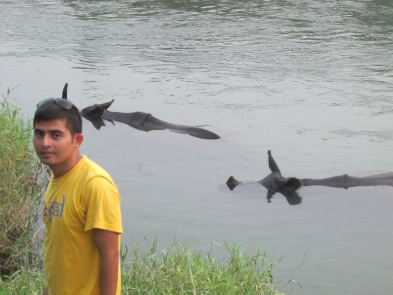 3 Nights 4 Days Chitwan National Park with Tower Night Stay - Authentic Experiences and Real Traveler Feedback