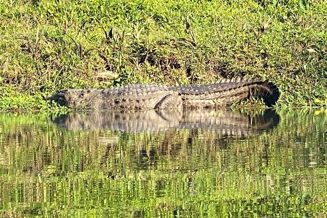 3 Nights 4 Days Comfortable Chitwan Safari Tour - The Sum Up: Is This the Right Trip for You?