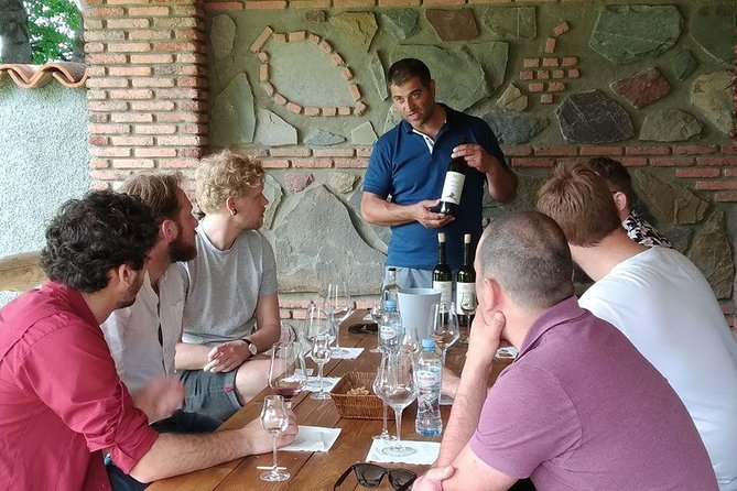 3 Organic Wineries Private Day Trip to Wine Province With Lunch and Tastings - Overview of the Private Organic Wine Tour