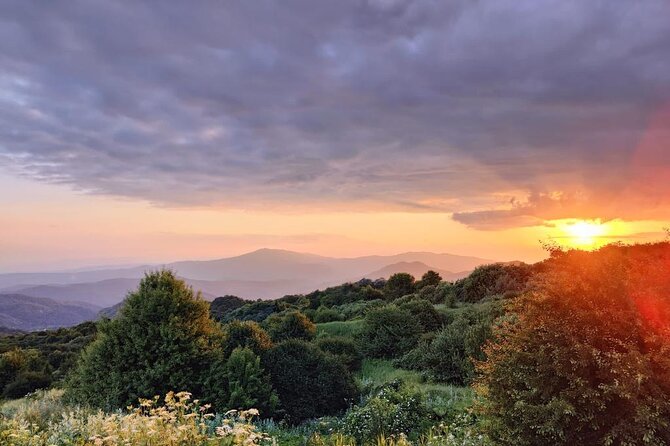 3 Organic Wineries Private Day Trip to Wine Province With Lunch and Tastings - Insights Into Georgian Wine Culture