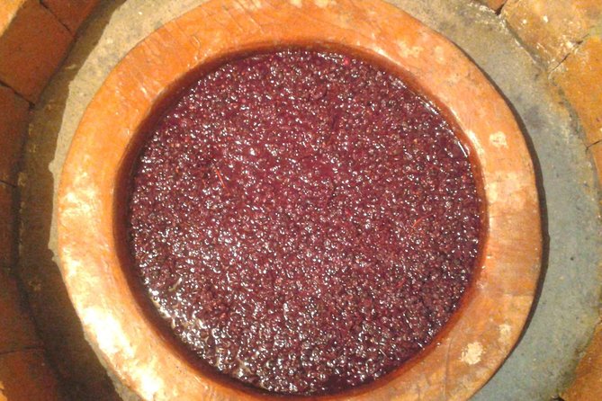 3 Organic Wineries Private Day Trip to Wine Province With Lunch and Tastings - Positive Guest Experiences