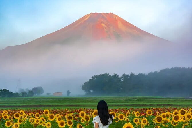 3 Perfect Days in Japan: Private Tokyo City, Mount Fuji & Kyoto - A Closer Look at the Itinerary
