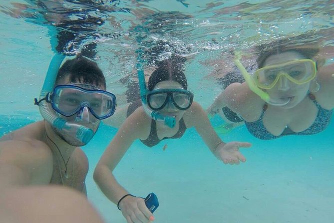 3 Point Snorkeling Safari - Potential Drawbacks or Considerations