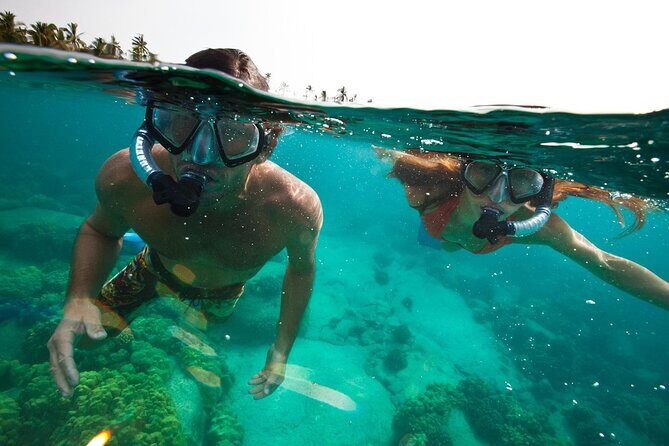 3-stop Adventure: Stingray City and snorkeling at Cayman Reefs - An In-Depth Look at the Tour Experience