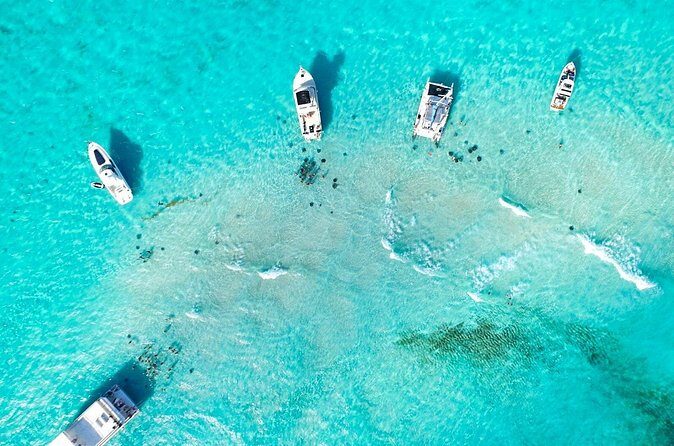 3-stop Adventure: Stingray City and snorkeling at Cayman Reefs - The Sum Up: Who Is This Tour Best For?