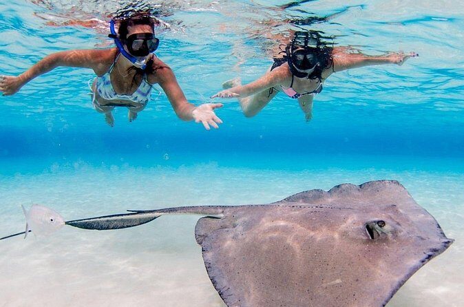 3-stop Adventure: Stingray City and snorkeling at Cayman Reefs - FAQ