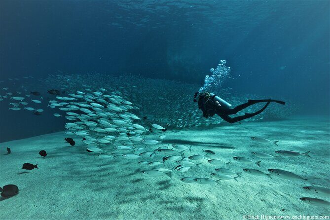 3 Tank Combo Cabo Reserve & Corridor, Certified Divers with MANTA - What to Expect from the 3 Tank Combo Tour