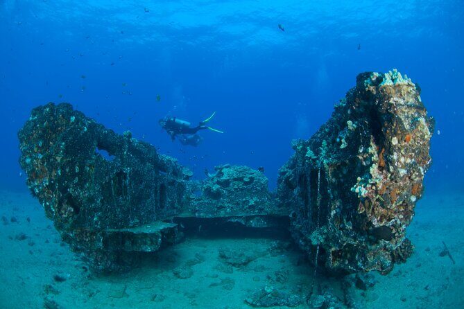 3-Tank Dive Featuring the Molokini Crater - Final Thoughts