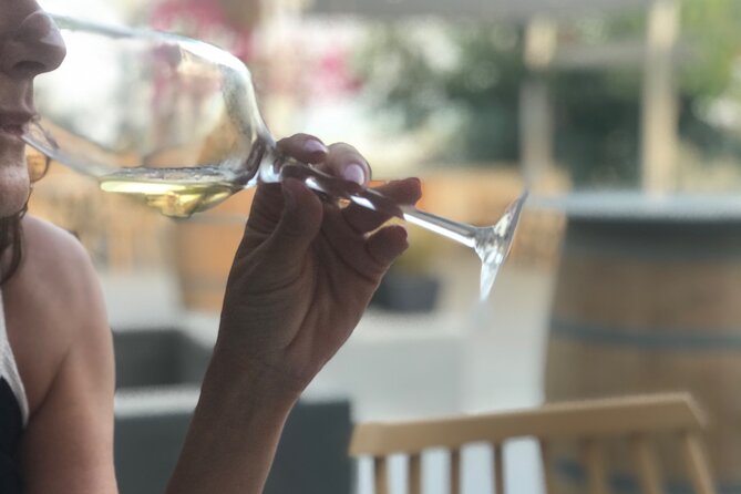 3 Wineries Wine Tasting & Greek Meal -Food and Wine Pairing - Winery Experiences