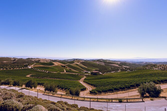 3-Winery Tour Includes Lunch from Paso Robles & Atascadero - Exploring the Paso Robles Wine Region: What You Can Expect