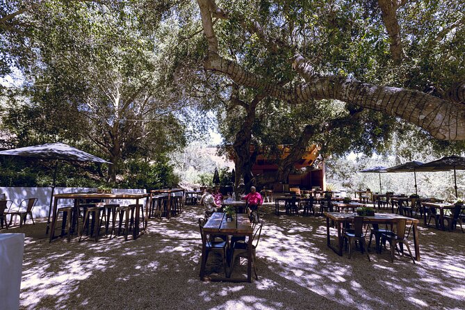 3-Winery Tour Includes Tastings & Lunch From Santa Ynez & Solvang - Convenient Pickup and Drop-Off Locations