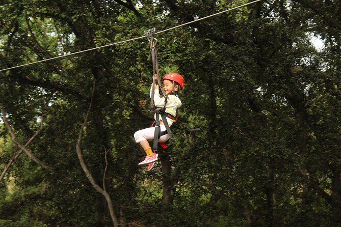 3 Ziplines & Dolphin Watching Snorkel Adventure - Who Should Book This Tour?