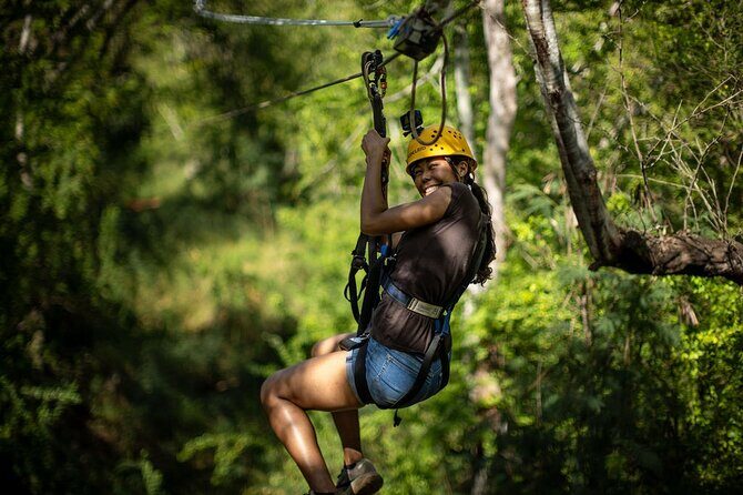 3 Ziplines & Dolphin Watching Snorkel Adventure - The Sum Up